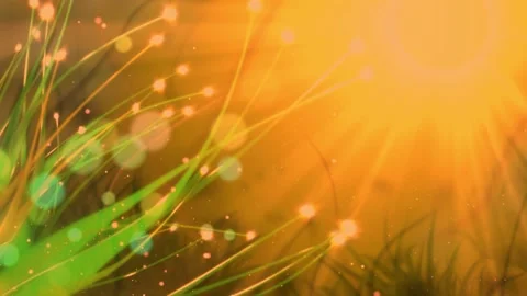 Motion graphics of plant layer growth an... | Stock Video | Pond5