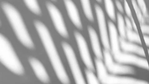 The motion of leaves sunlight natural sh... | Stock Video | Pond5