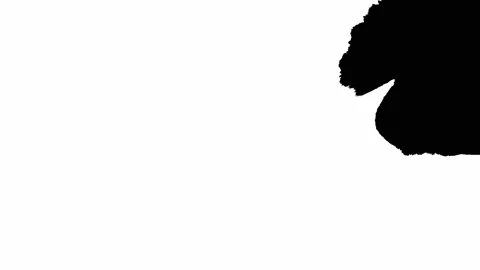 Motion Effect Pack Stock Videos – Royalty-Free HD & 4K Videos | Pond5