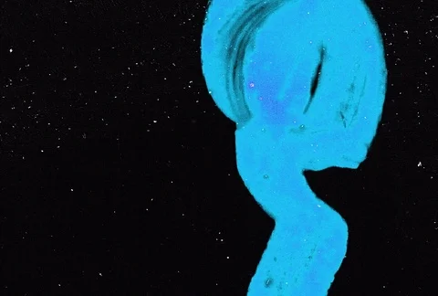 Blue Film Picture Stock Videos – Royalty-Free HD & 4K Videos | Pond5