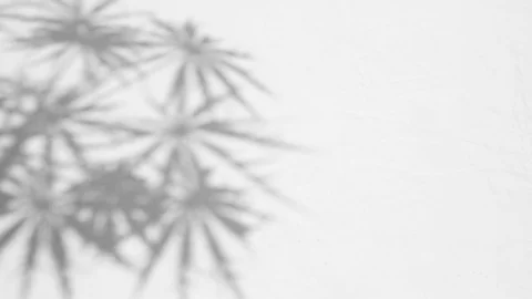 The motion shadow of leaves with blowing... | Stock Video | Pond5