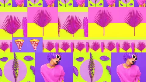 Girls Purple Sliders Stock Videos – Royalty-Free HD & 4K Videos