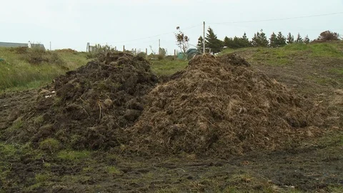 Mounds of Compost and Soil | Stock Video | Pond5