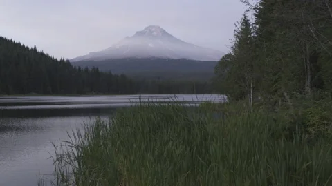 Mount Hood View Beyond the Tall Grass of... | Stock Video | Pond5