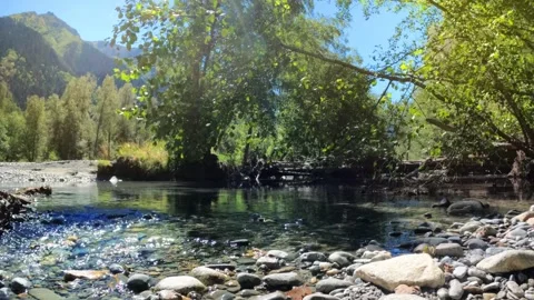 Water Clear Video Stock Videos – Royalty-Free HD & 4K Videos | Pond5