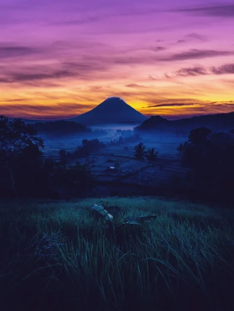 Animated Nature Pictures Stock Videos – Royalty-Free HD & 4K Videos