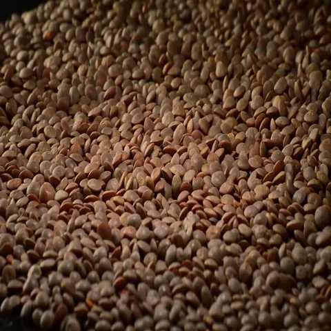 Mountain of lentils gyrating with intima... | Stock Video | Pond5