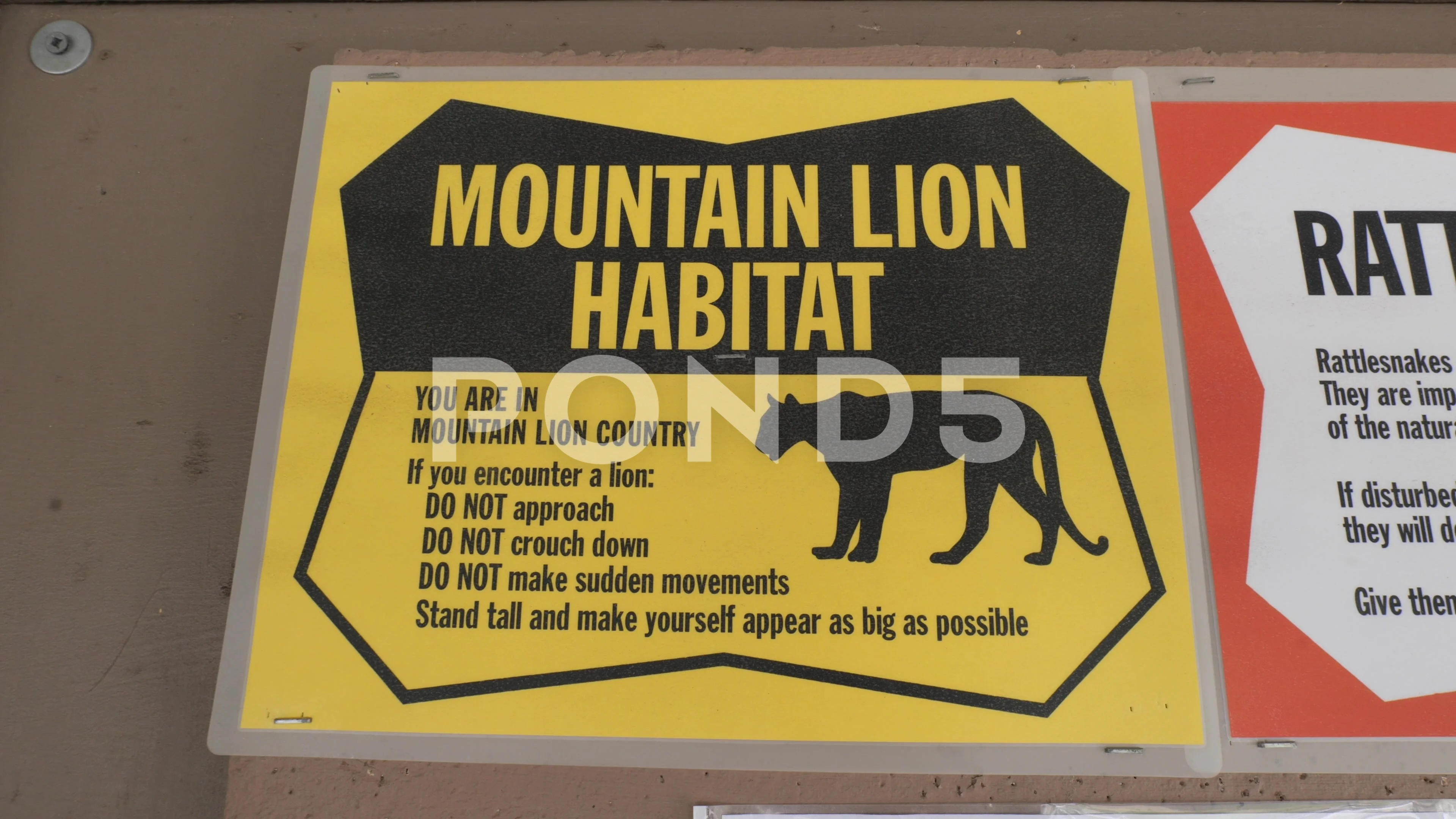 Mountain Lion Sign