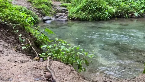 4K Transparent Cleaning Stock Videos – Royalty-Free HD & 4K Videos | Pond5