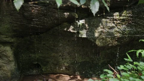 Mountain Spring water dripping from rock... | Stock Video | Pond5