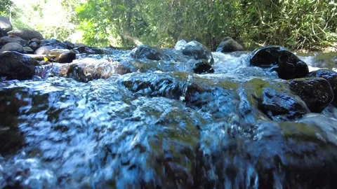 Stream The Mo Stock Videos – Royalty-Free HD & 4K Videos | Pond5