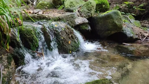 Forest Stream Stones Stock Videos – Royalty-Free HD & 4K Videos | Page 3