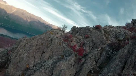 Surfing Colors Stock Videos – Royalty-Free HD & 4K Videos