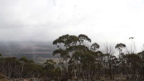 Mountain top view of an Australian valle... | Stock Video | Pond5