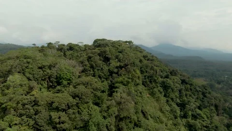 Mountains and Amazon rainforest of Tena ... | Stock Video | Pond5