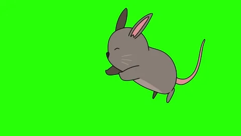 Mouse running on green screen background... | Stock Video | Pond5