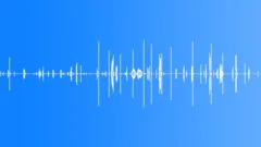 Chortle Sound Effects ~ Royalty Free Chortle Sounds | Pond5