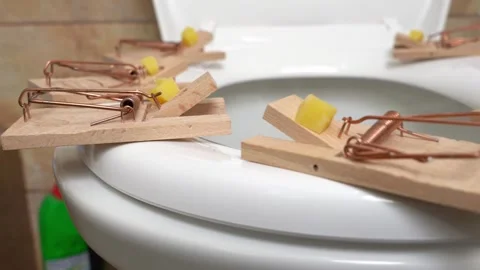Toilet S Trap Stock Videos – Royalty-Free HD & 4K Videos