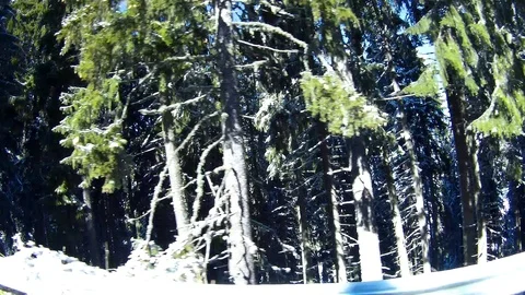 Pictures With Movement Stock Videos – Royalty-Free HD & 4K Videos | Pond5