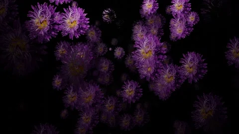 movement through rotating flowers on a b... | Stock Video | Pond5