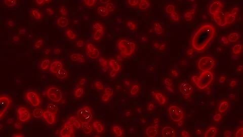 Moving 3d blood cells. Motion. Animation... | Stock Video | Pond5