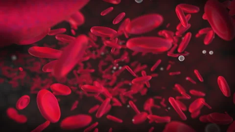 Moving blood cells are erythrocytes. 3D ... | Stock Video | Pond5