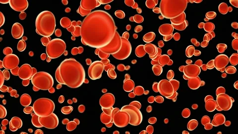 Moving Blood Cells Background Animation.... | Stock Video | Pond5