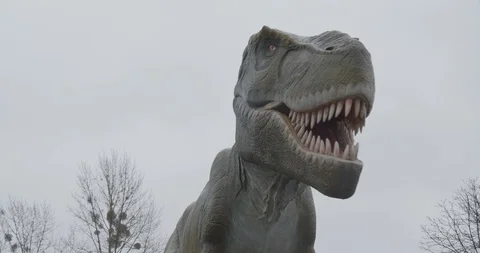 Moving figure of a dinosaur. Amusement p... | Stock Video | Pond5