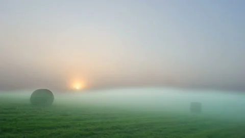 Moving fog on field with lonely tree and... | Stock Video | Pond5