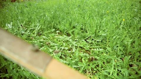 moving grass with an old hand scythe. la... | Stock Video | Pond5