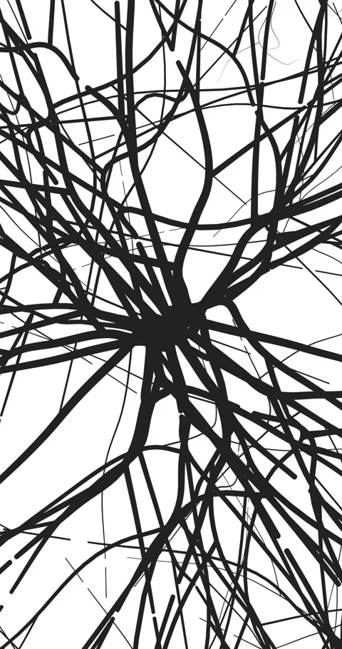 Tree Roots Growing Animation Stock Videos – Royalty-Free HD & 4K Videos ...