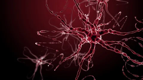 Moving nerve cells. | Stock Video | Pond5