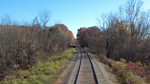 Moving Train Tracks Through Forest In Au... | Stock Video | Pond5
