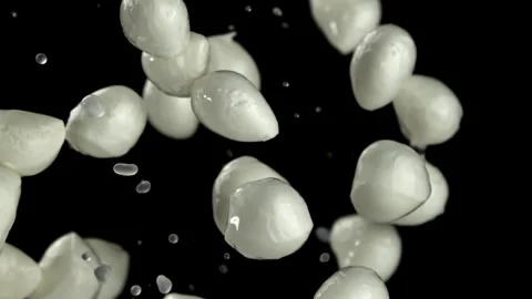 Black Balls Eating Stock Videos – Royalty-Free HD & 4K Videos