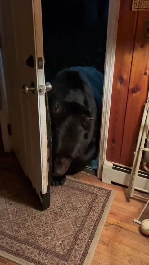 Doorman Stock Footage ~ Royalty Free Stock Videos | Pond5