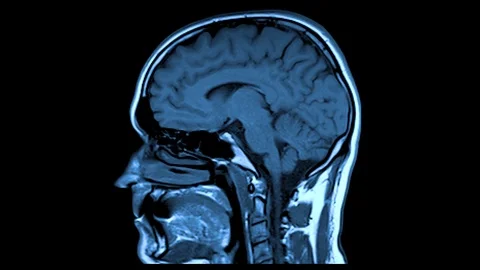 Image2Gd Stock Videos – Royalty-Free HD & 4K Videos