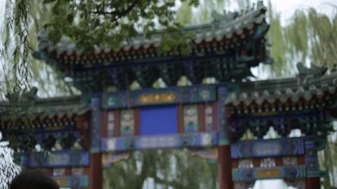 Mature Down Photo Stock Videos – Royalty-Free HD & 4K Videos