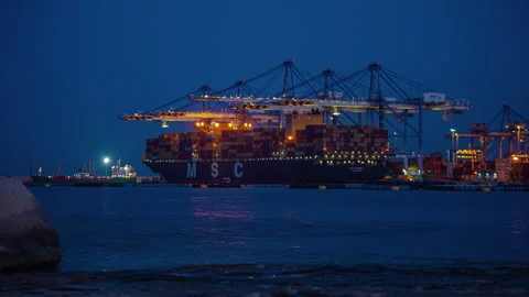 MSC global container shipping company in... | Stock Video | Pond5
