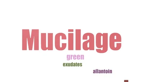 Mucilage Word Cloud Animated On White Ba... | Stock Video | Pond5