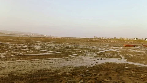 Mud / Sludge In the side of sea beach | Stock Video | Pond5