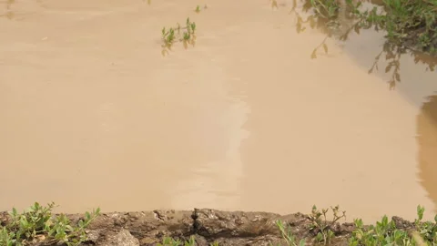 Mud Splash Car Stock Footage ~ Royalty Free Stock Videos | Pond5