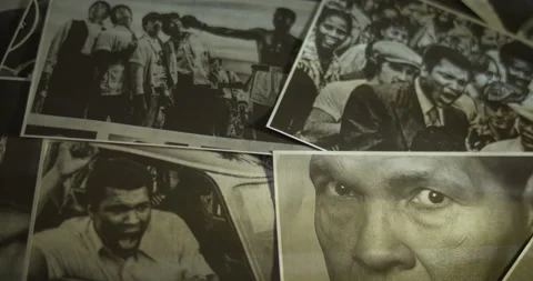 Ali Pictyre Stock Videos – Royalty-Free HD & 4K Videos