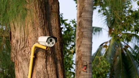 Cctv Angle Stock Videos – Royalty-Free HD & 4K Videos | Page 2