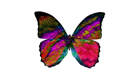 Butterfly 2D Animation Stock Videos – Royalty-Free HD & 4K Videos | Page 5
