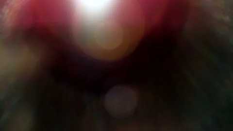 Multi-Colored Rainbow Light Flares Prism... | Stock Video | Pond5