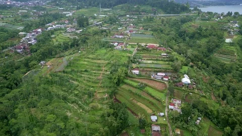 Multi crop farm land on steep slopes and... | Stock Video | Pond5