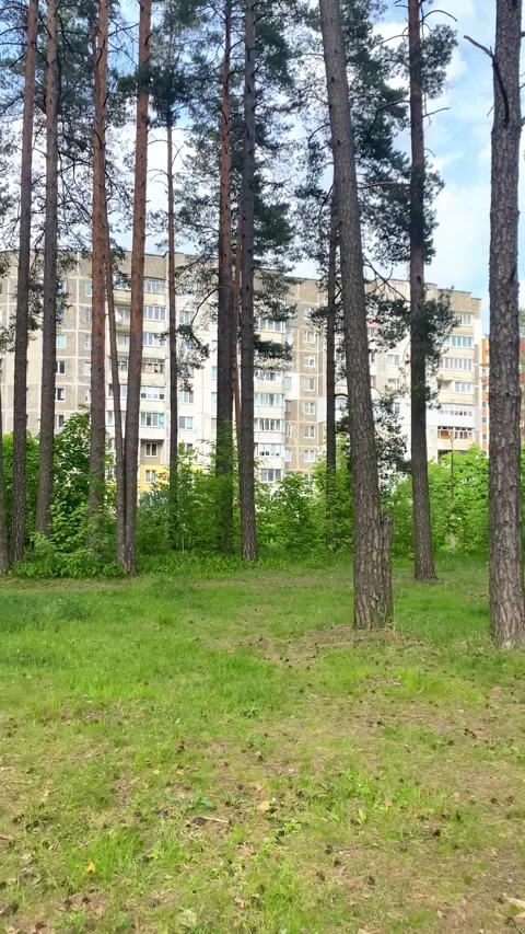 A multi-storey house in the woods. Verti... | Stock Video | Pond5