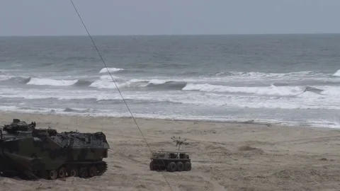 Multi-Utility Tactical Transport (MUTT) ... | Stock Video | Pond5