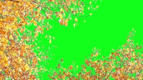 Multicolored Autumn Leaves on Green Scre... | Stock Video | Pond5
