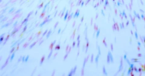 All About Sweets Stock Videos – Royalty-Free HD & 4K Videos